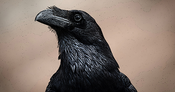 Crossroads Peoples: Sapient Animals - Oppression Aware Podcast, Fairy ...